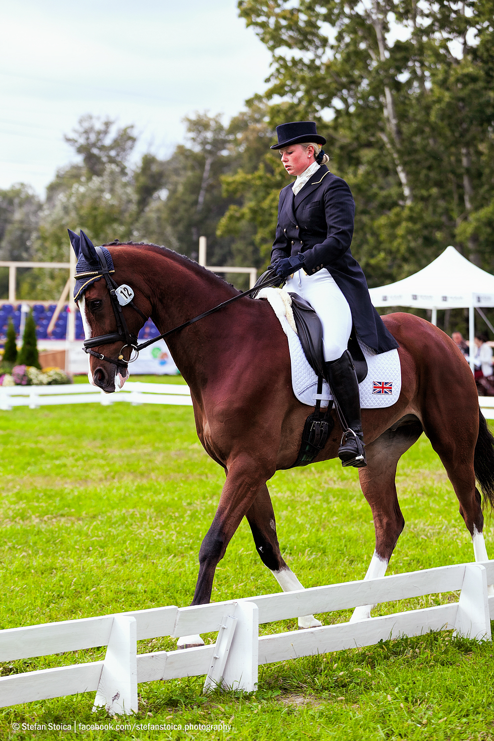 dresaj – Karpatia Horse Show